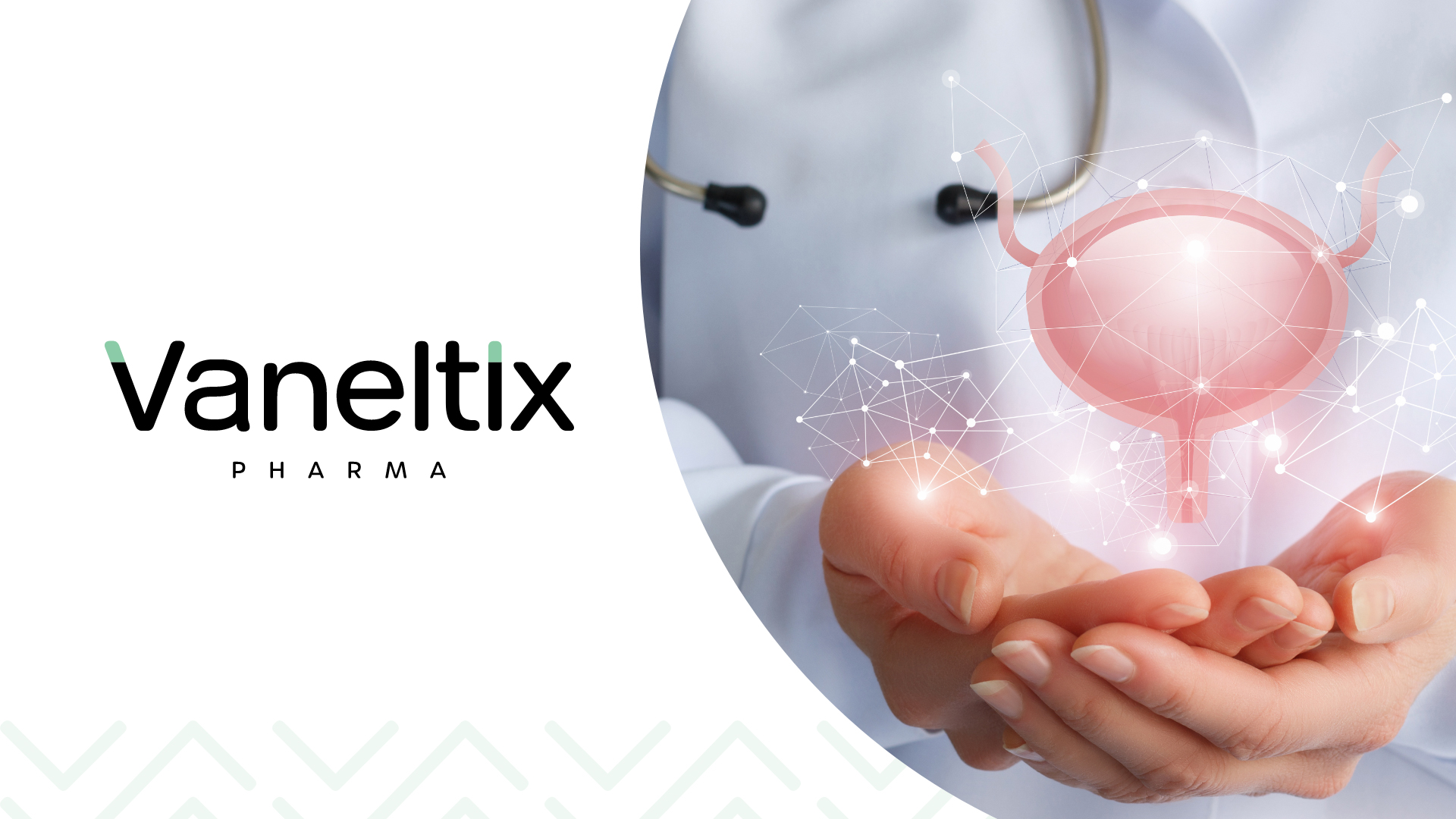Vaneltix Pharma: Treatments for Medical Need in Urology