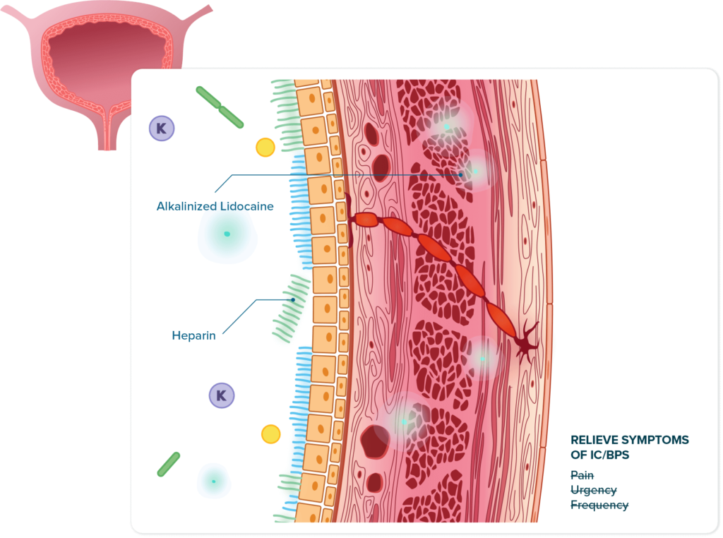 Alenura - Vaneltix Pharma
